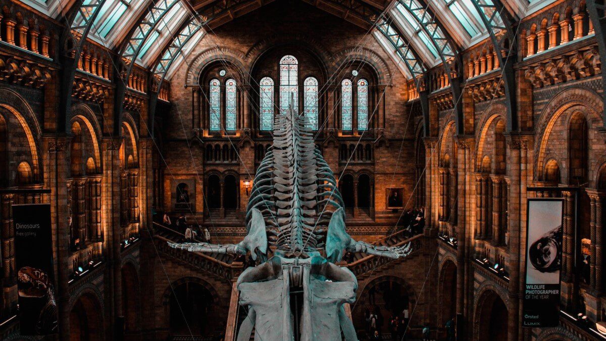 How Holograms Can Enhance Museum Experiences